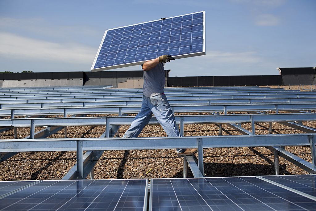 The Role of Small Businesses and Companies in Climate Fight