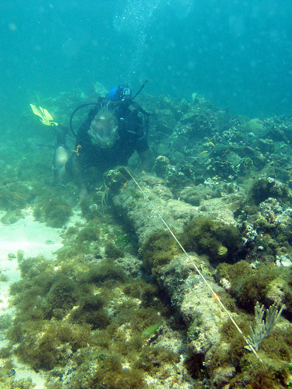 Shipwreck off Haiti May Be Christopher Columbus' Long-Lost Flagship