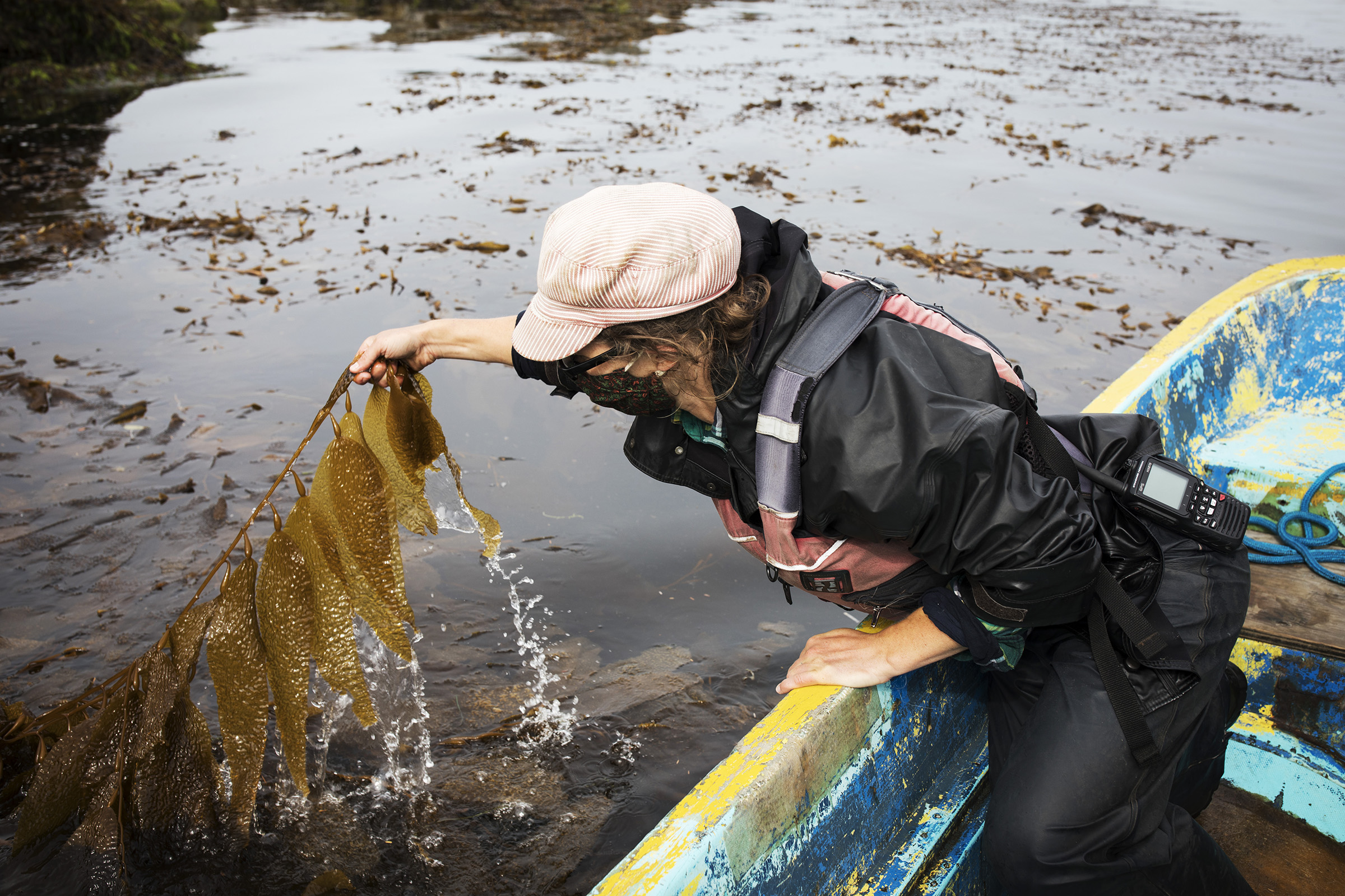 The Ocean Farmers Turning Seaweed Into Climate Solutions